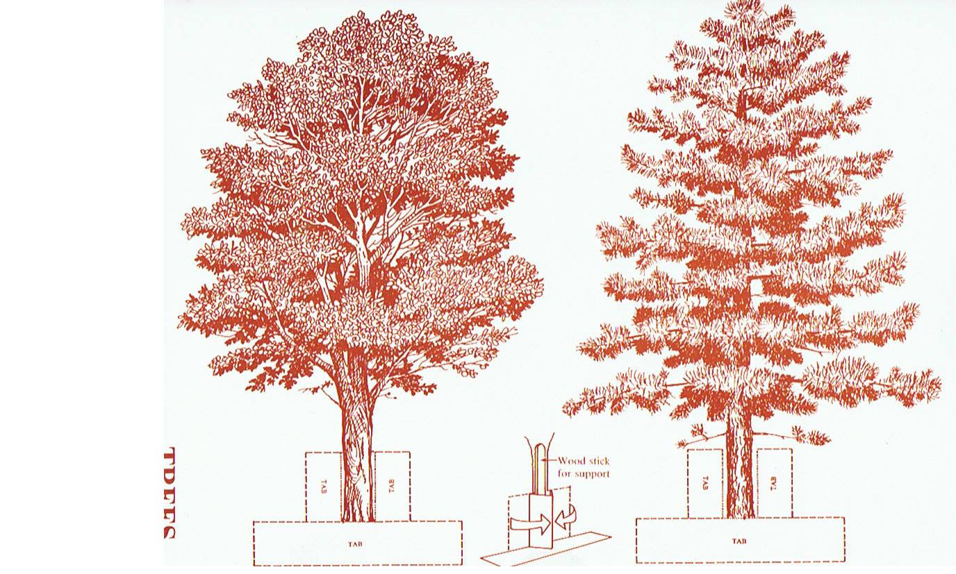 Model-house-building-perspective-charts-grids-bricks-siding-shingles ...
